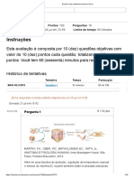 Músculo Piriforme Origem, Inserção, Inervação e Função Kenhub | PDF ...