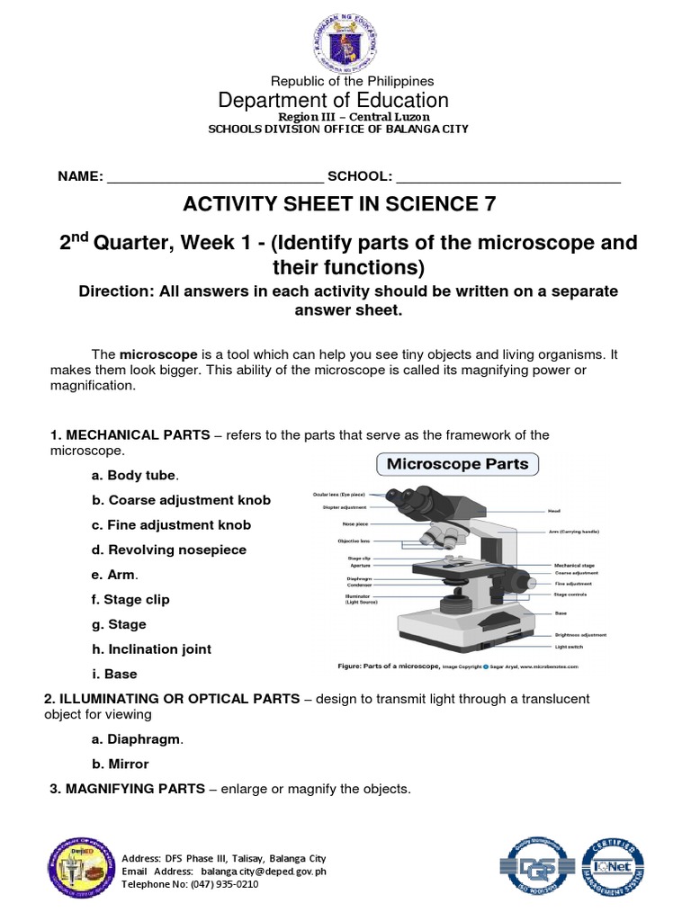 2nd Quarter Science LAS | PDF | Cell (Biology) | Eukaryotes