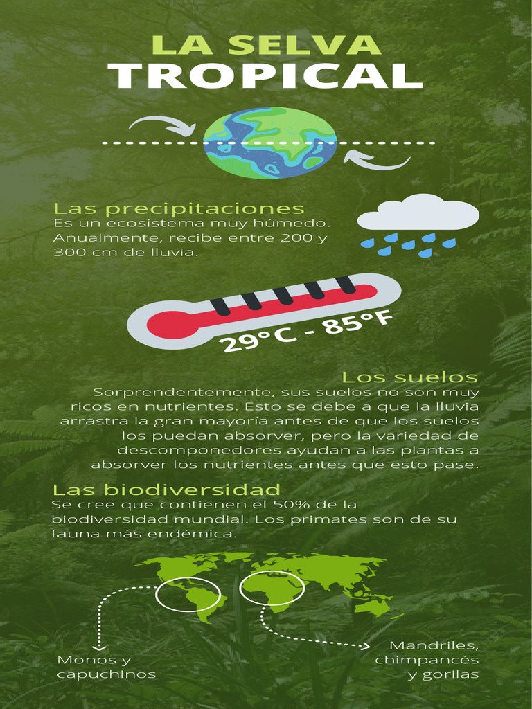 La Selva Tropical | PDF