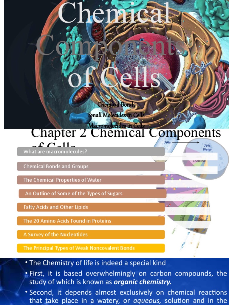 Chemical Components of Cell | PDF | Chemical Bond | Macromolecules