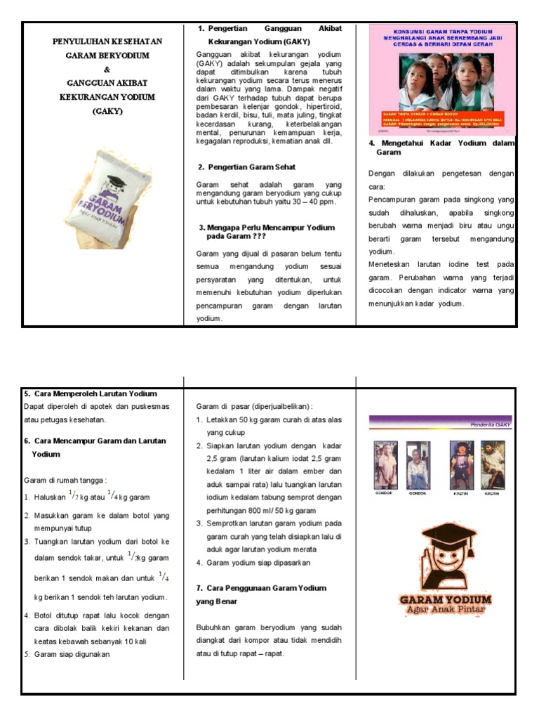 Garam Beryodium dan GAKY: Panduan Sehat | PDF
