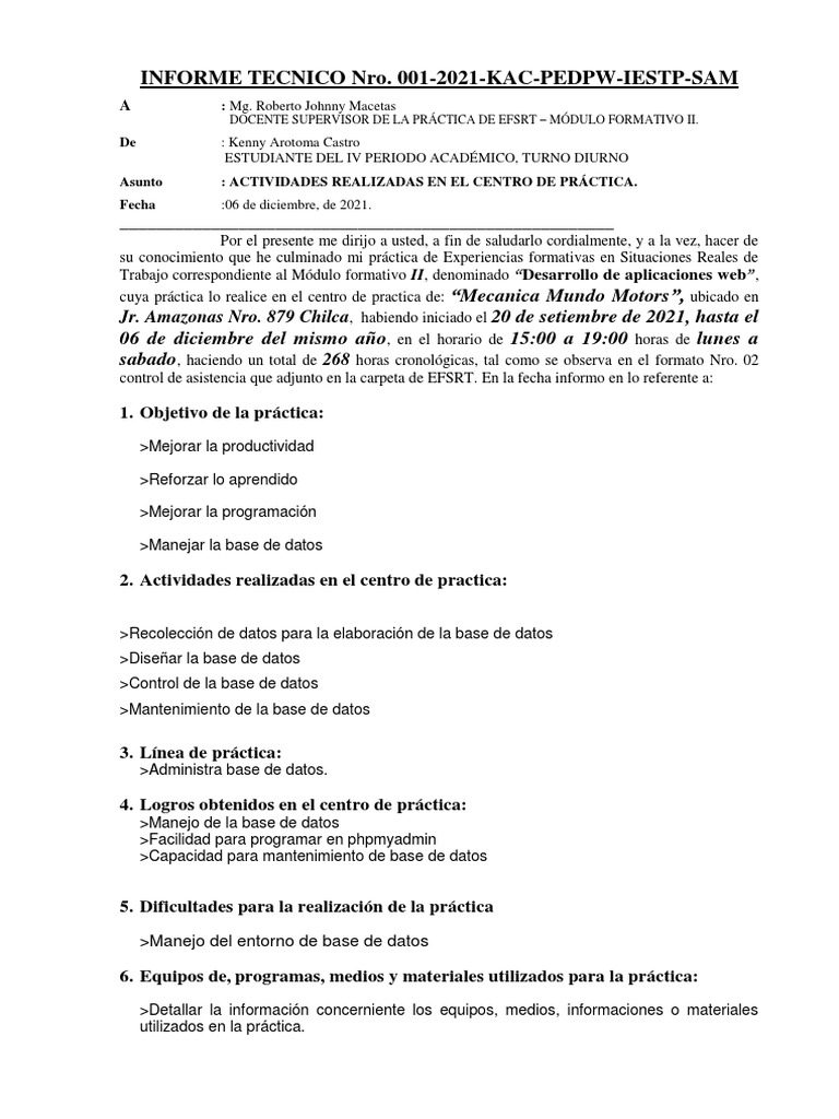 Modelo de Informe Técnico EFSRT | PDF | Informática | Software