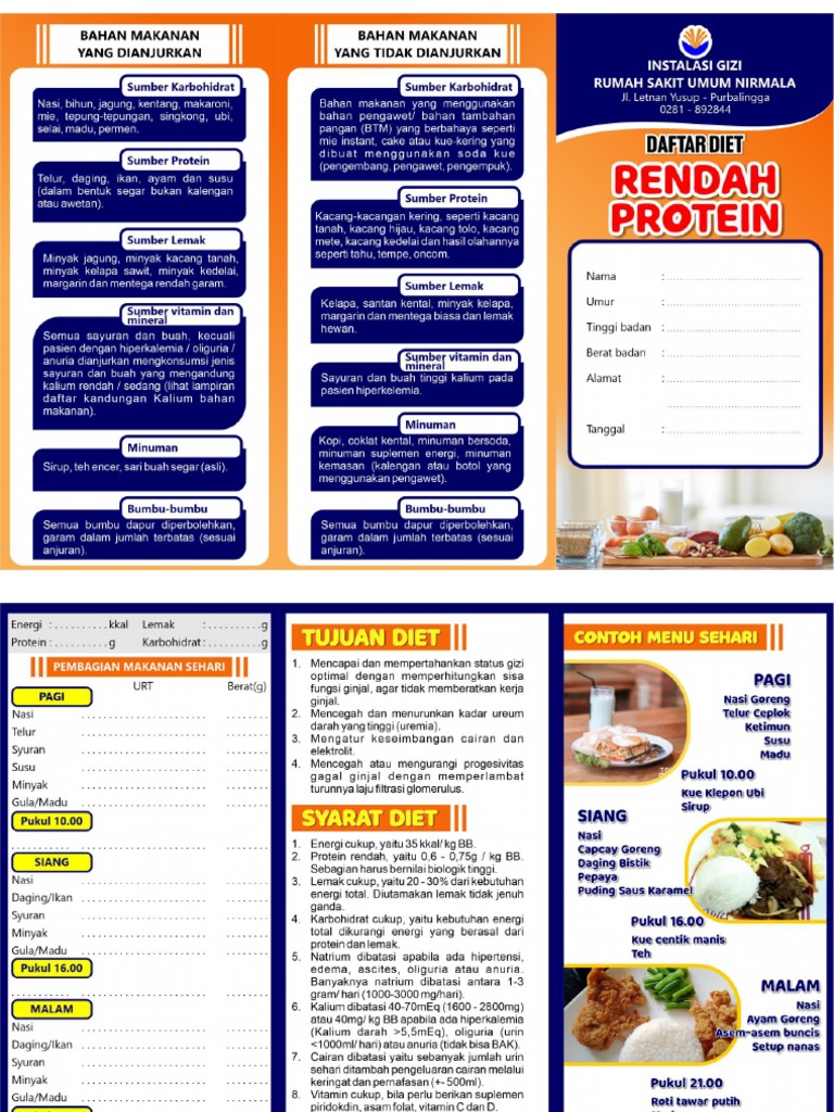 Diet Rendah Protein | PDF