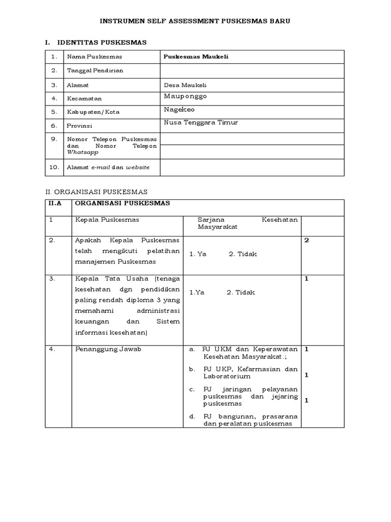 Instrumen Self Ass Puskesmas Baru | PDF