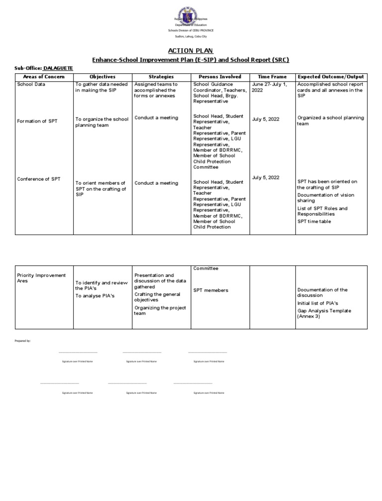 E-SIP Action Plan | PDF