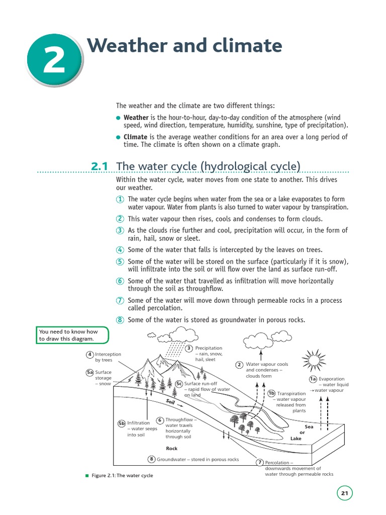 Understanding Weather and Climate Basics | PDF | Rain | Water Cycle
