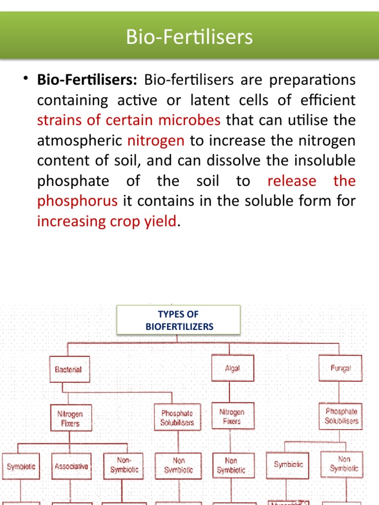 Benefits and Types of Bio-Fertilisers | PDF | Soil | Soil Fertility