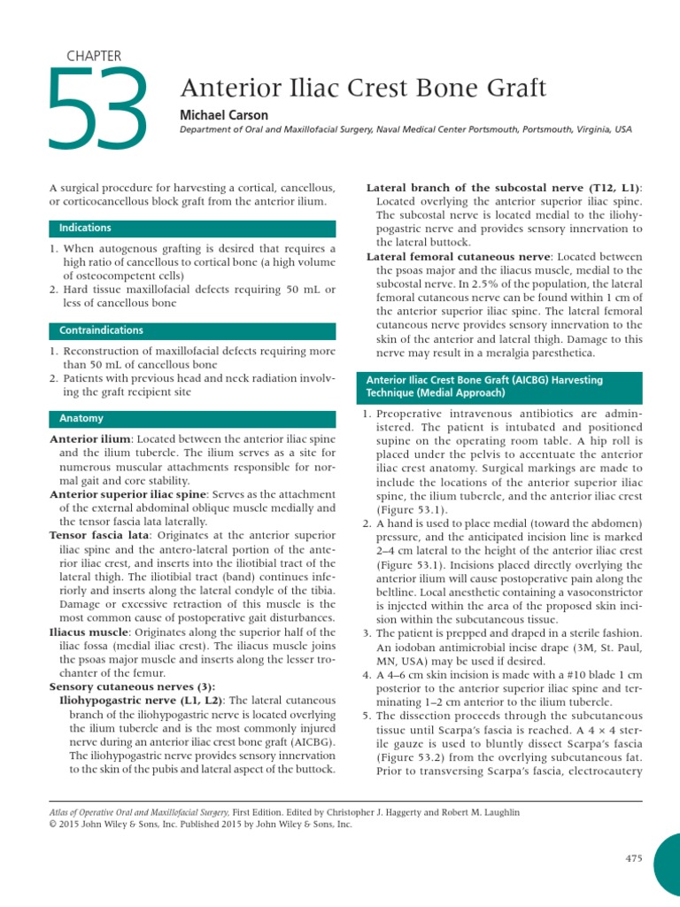 Anterior Iliac Crest Bone Graft | PDF | Musculoskeletal System | Human ...