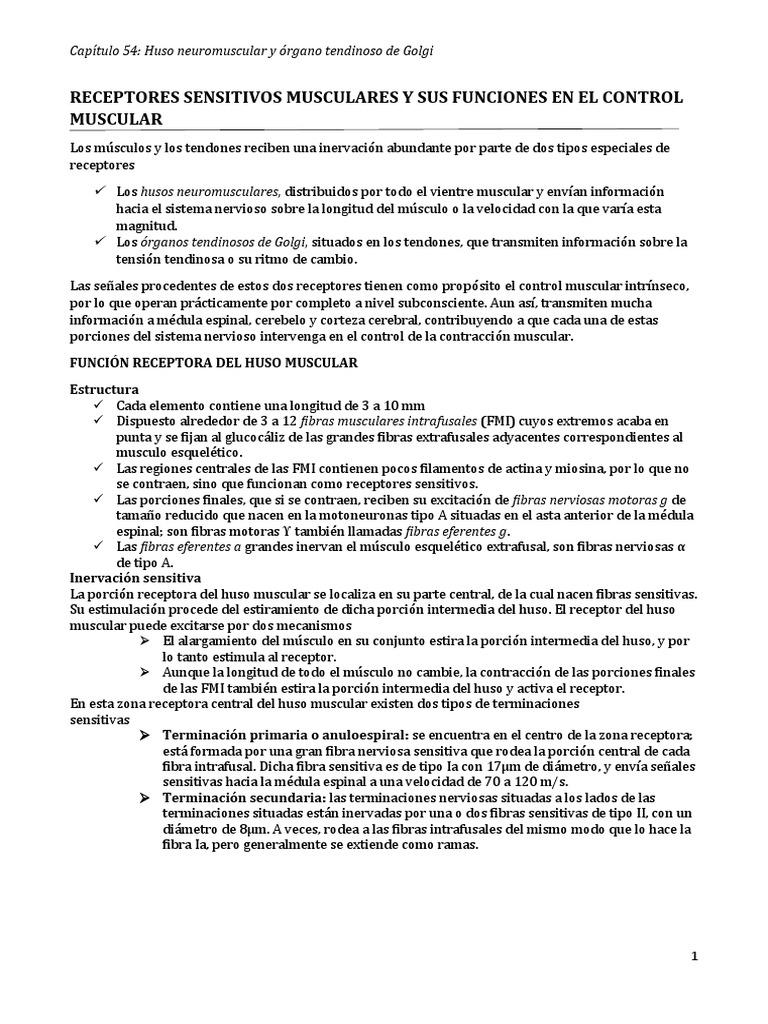 Capítulo 54 - Guyton | PDF | Músculo esquelético | Neurona motora