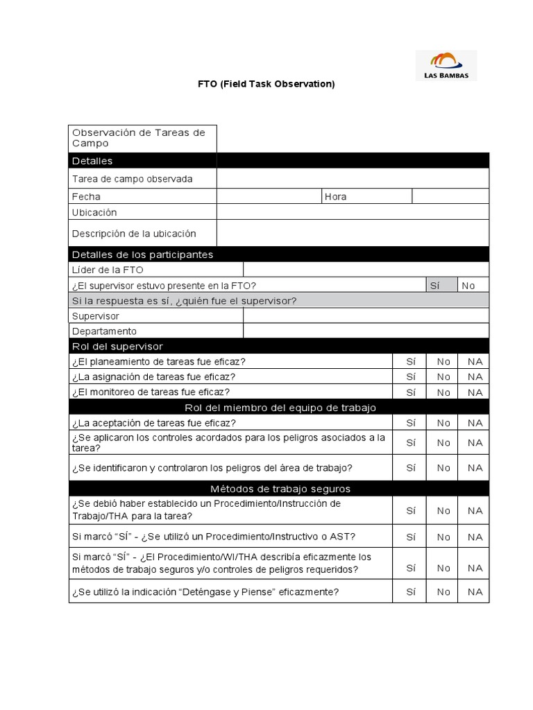 Formato FTO MMG Field Task Observation-Spanish-Template | PDF