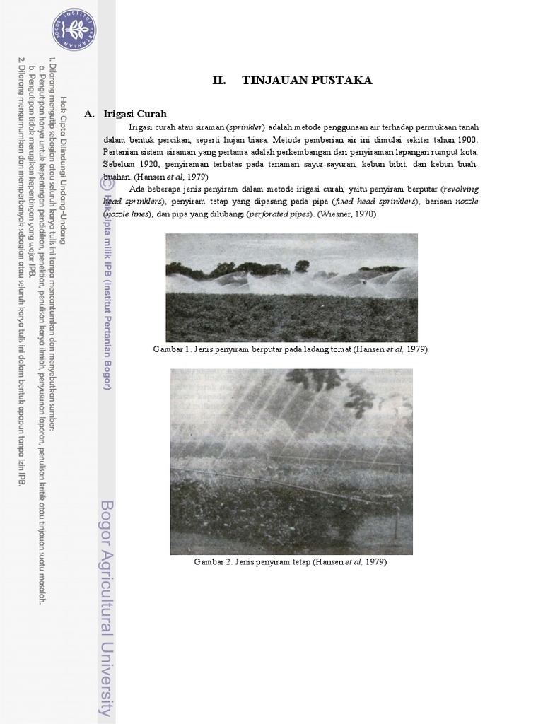 Adoc - Pub II Tinjauan Pustaka | PDF