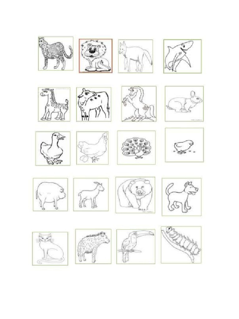 Ciencias Cubierta | PDF