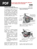 Anatomie de La Loge Parotidienne | PDF | Anatomie humaine | Tête et cou ...