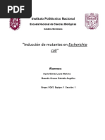 Agente Caotrópico | PDF | Ciencia y matemáticas