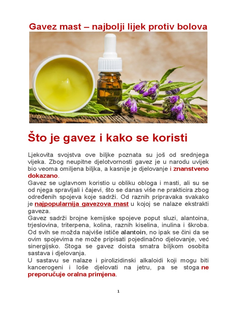 Gavez Mast | PDF
