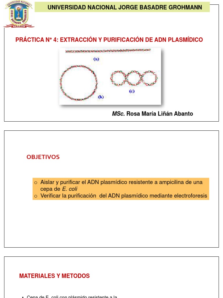 Practica #4 Gen Micro | PDF | Plásmido | Adn