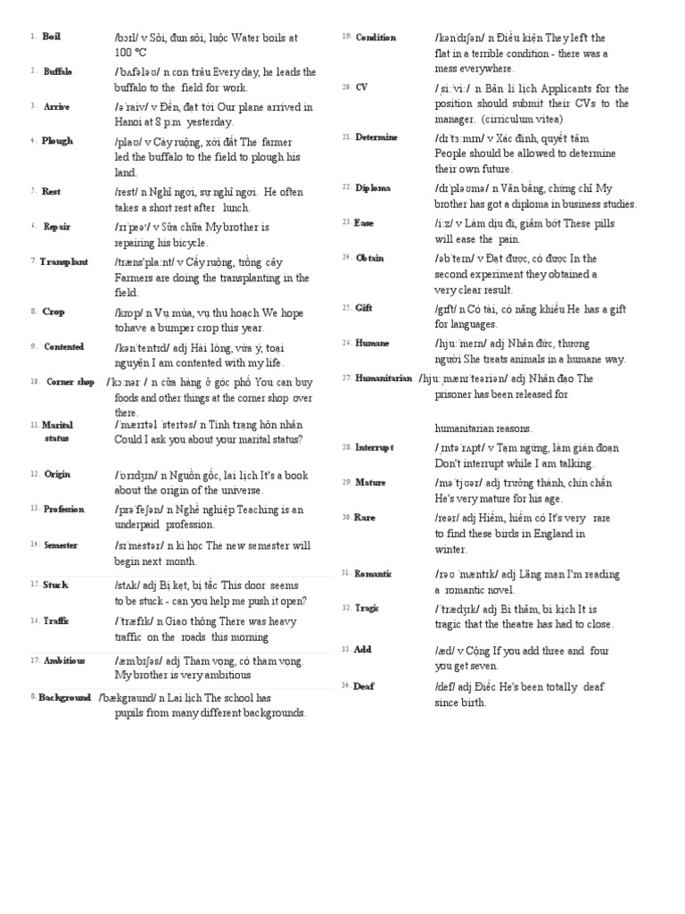 Tong Hop Tu Vung Tieng Anh Lop 10 11 12 | PDF