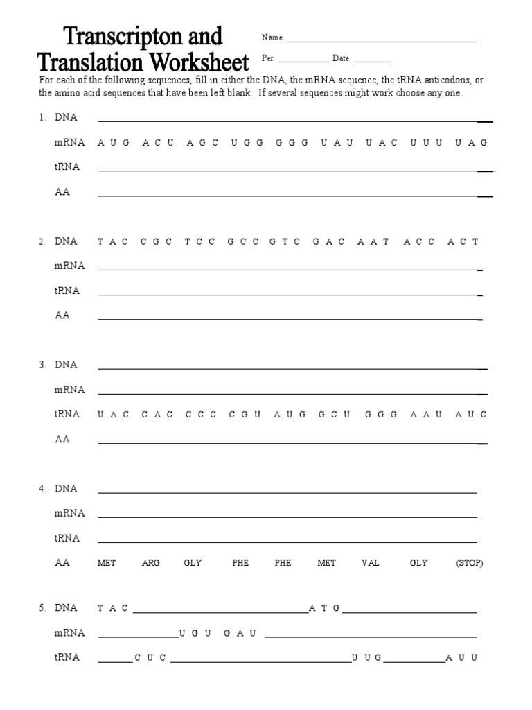 Transcription and Translation Practice | PDF