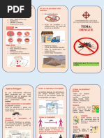 Triptico Del Dengue | PDF | Mosquito | Organismos