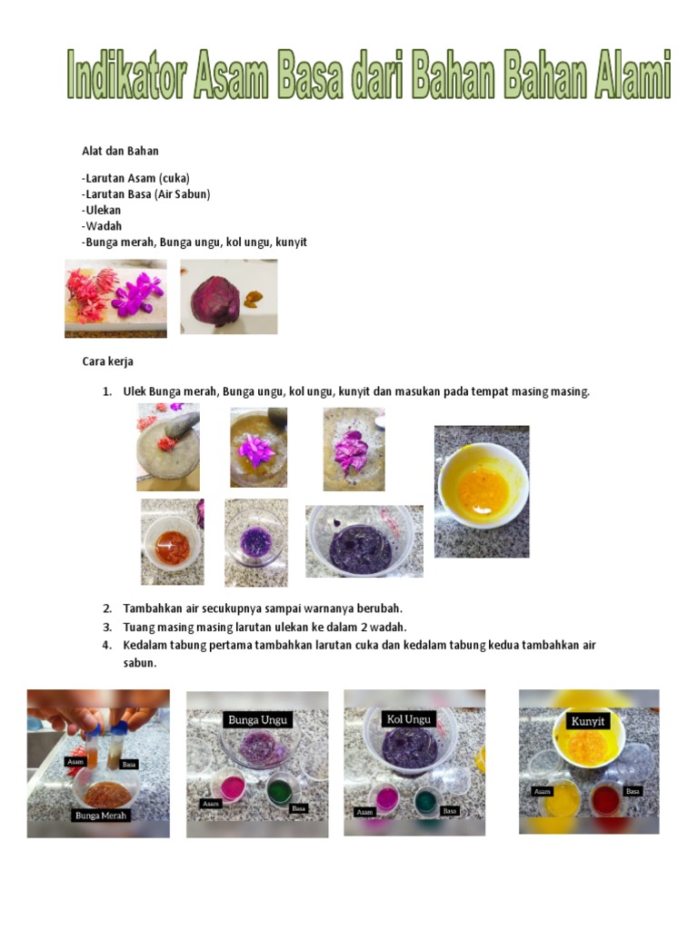 Indikator Alami Asam-Basa dari Kol Ungu | PDF