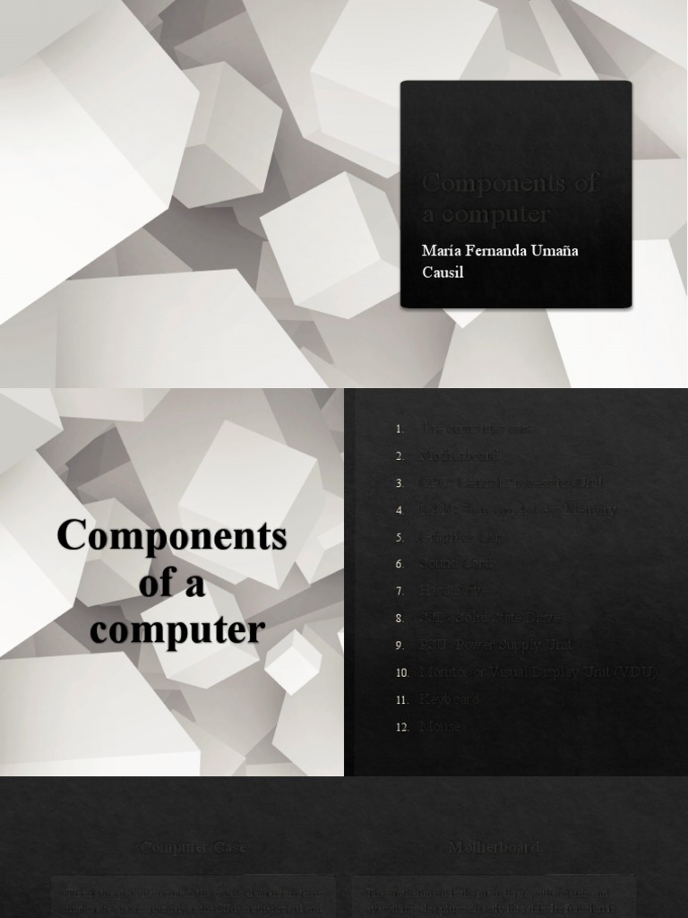 Components of A Computer | PDF | Solid State Drive | Random Access Memory