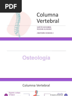 Articulaciones y Ligamentos de La Columna Vertebral | PDF