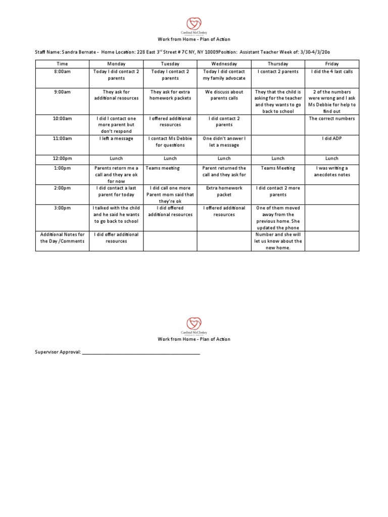 Work From Home Plan of Action | PDF