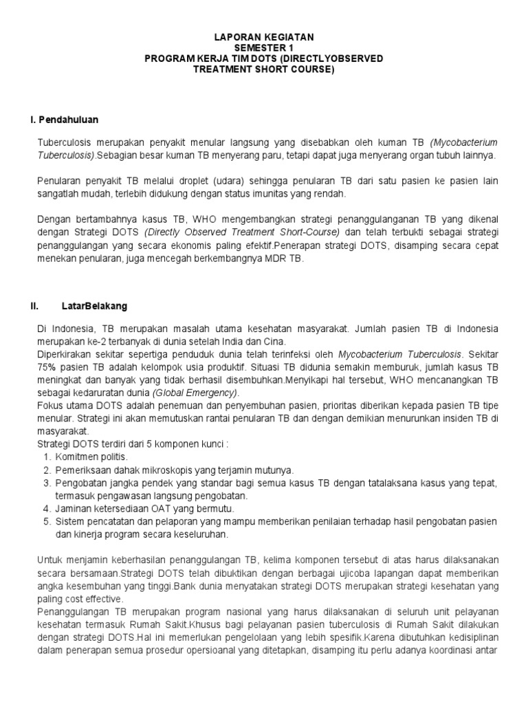 Contoh Laporan Tahunan TB Dots | PDF