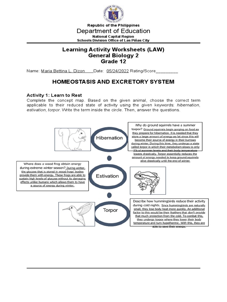 Understanding Homeostasis Through the Study of Excretory and Endocrine ...
