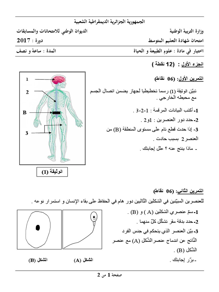 Bem 2017 Science | PDF