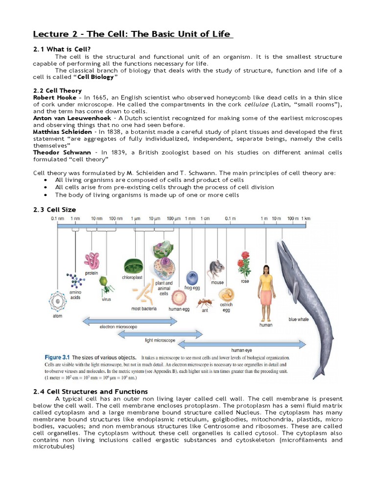 Lecture 2 - The Cell - The Basic Unit of Life | PDF | Cell (Biology ...