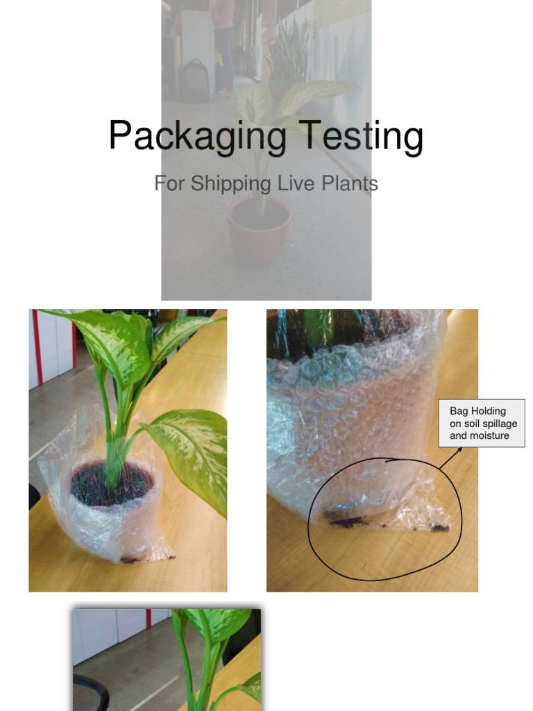 Plant Packaging Solution | PDF