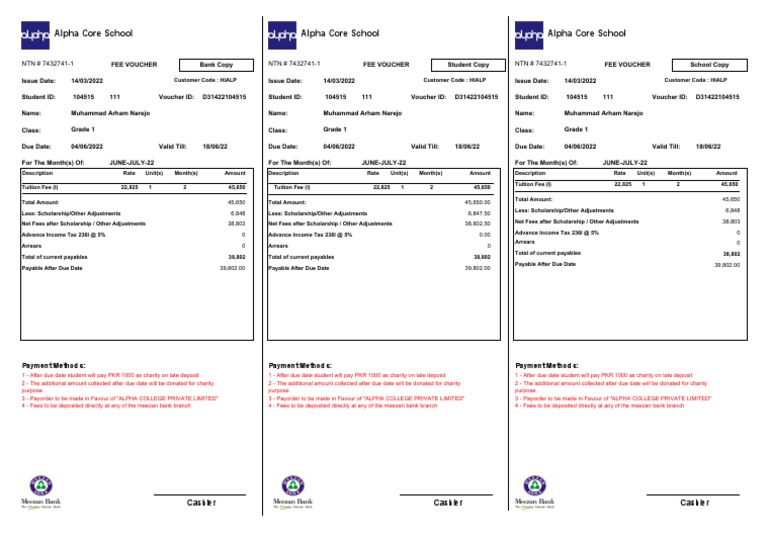 Alpha Core School Alpha Core School Alpha Core School: NTN # 7432741-1 ...