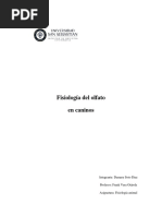 Reflejo de Flehmen | PDF | Biología