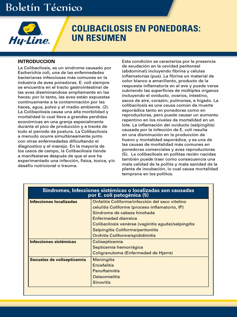 Tu Col SPN | PDF | Escherichia coli | Las bacterias