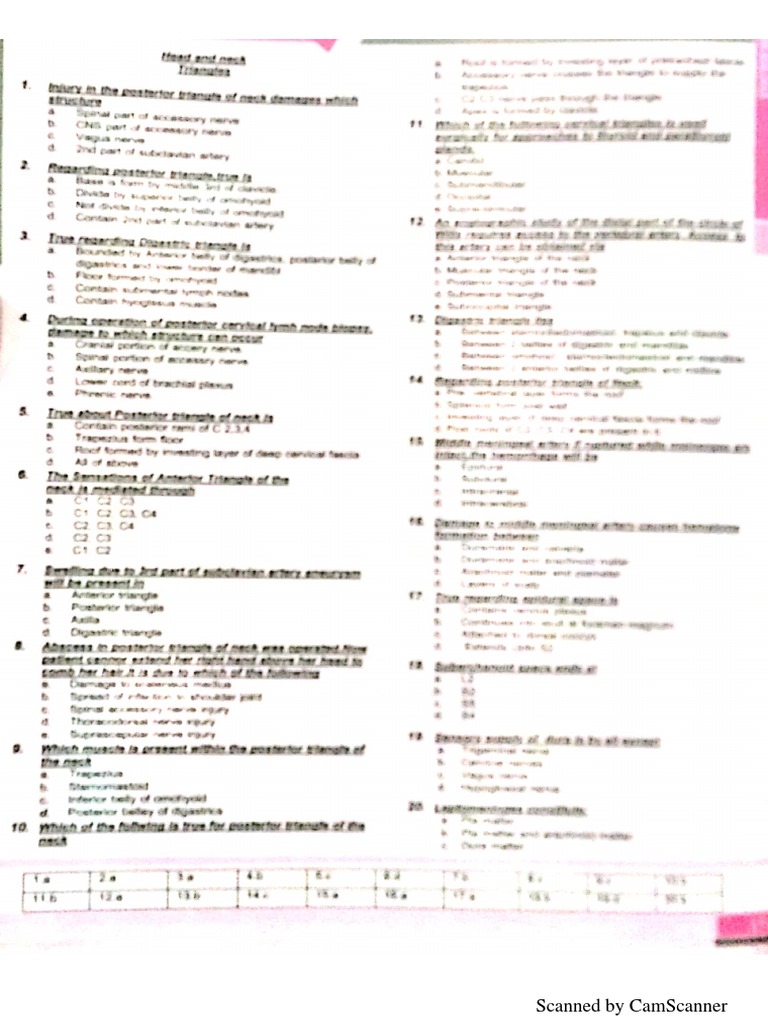 Head and Neck Bcqs | PDF