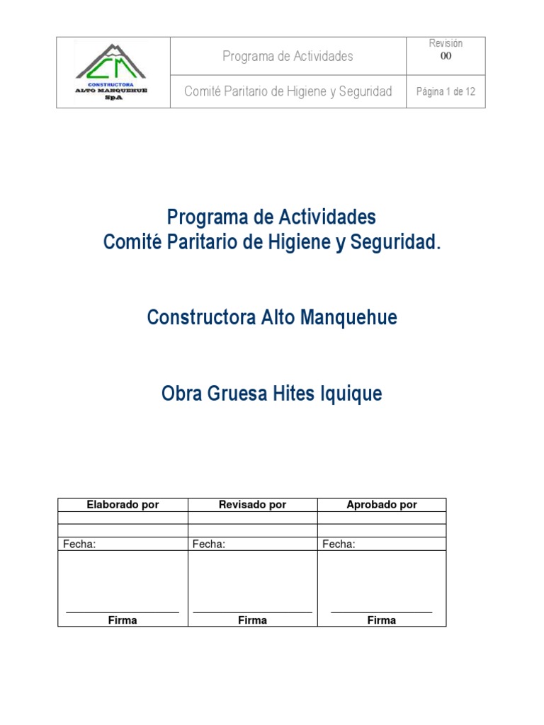 Programa de Comite Paritario | PDF | Ciencias de la Salud