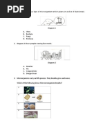 Science Year 5 DLP 2022 | PDF | Skeleton | Leaf
