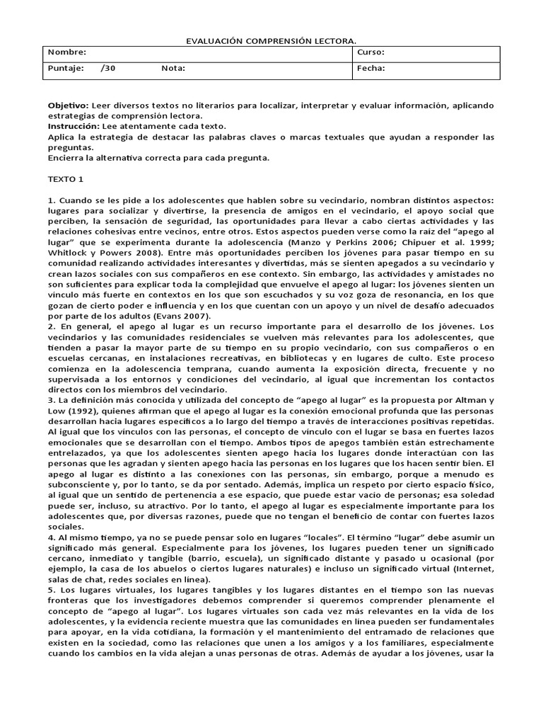 Evaluación Comprensión Lectora | PDF | Internet | Memoria