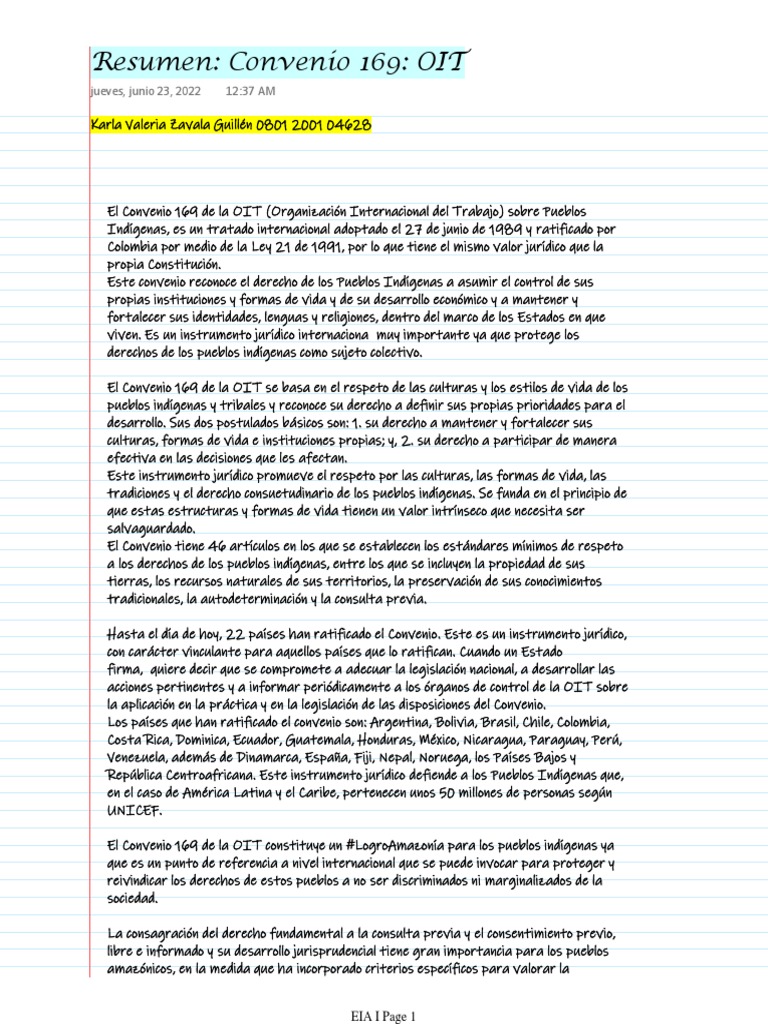 Resumen Convenio 169 OIT | PDF | Organización Internacional del Trabajo | Gobierno