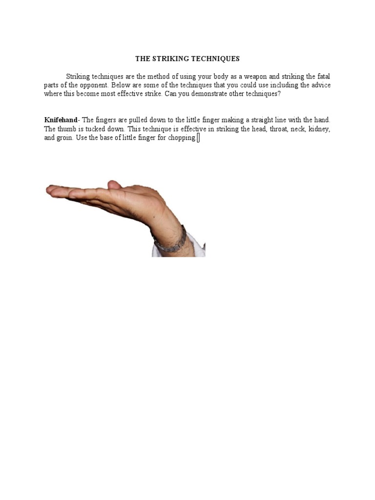 The Striking Techniques | PDF