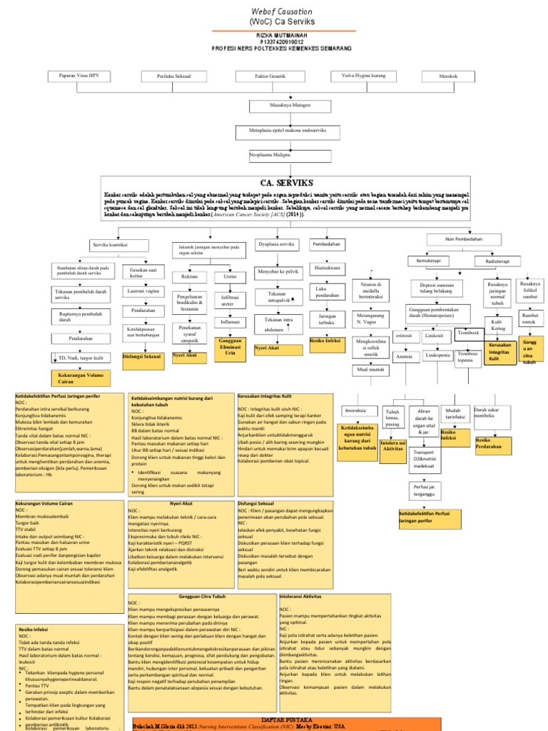Woc Ca Serviks Riska | PDF