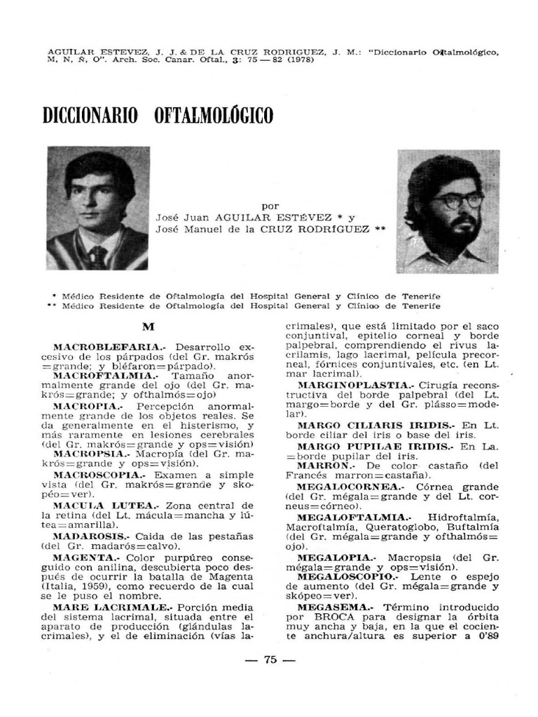 Diccionario Oftalmologico: AGU Lar Estévez - Cruz | PDF | Percepción ...