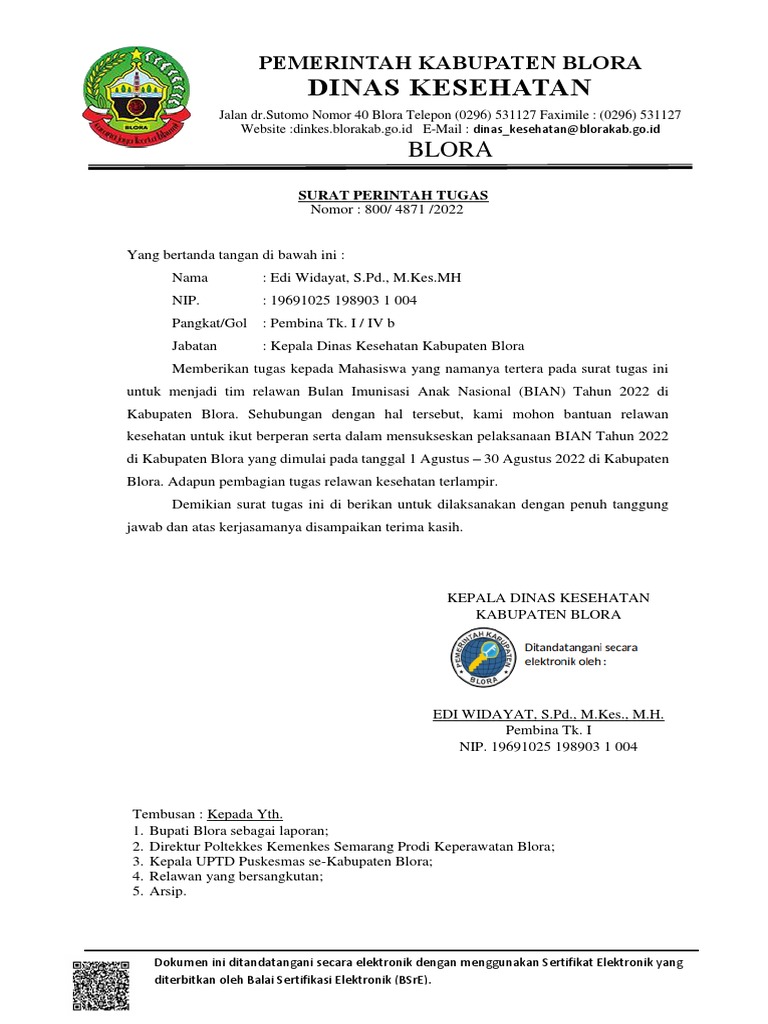 Surat Tugas Relawan | PDF