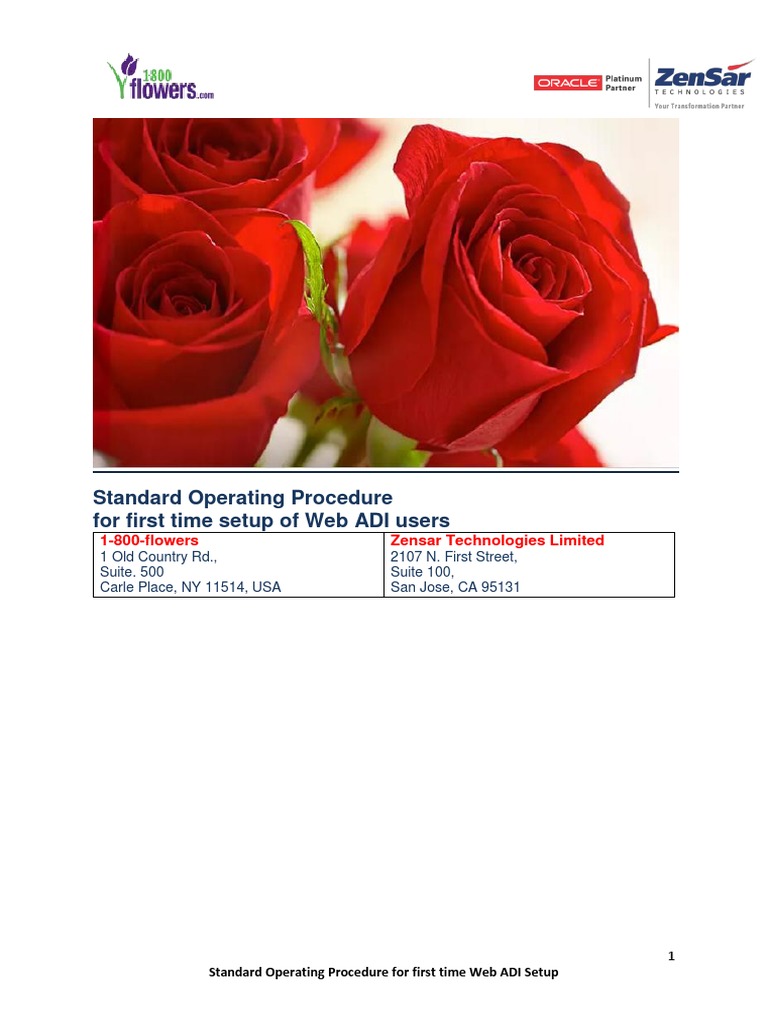 SOP - Web ADI First Time Setup | PDF | Microsoft Excel | World Wide Web