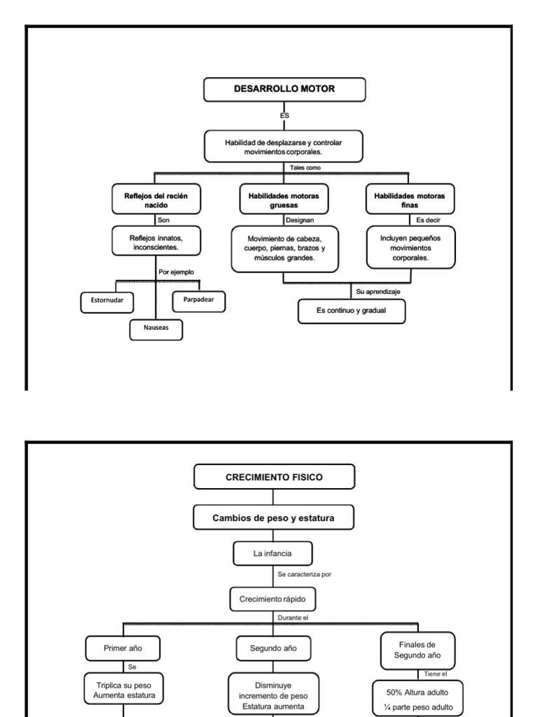Ilide - Info Mapa Conceptual PR | PDF