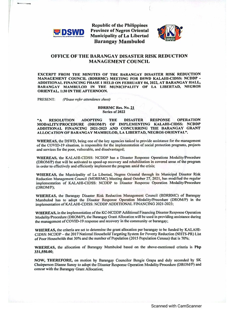 BDRRMC_Resolution | PDF