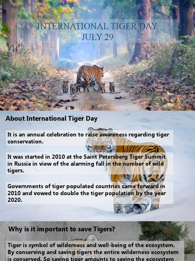 International Tiger Day: Save the Tigers | PDF | Tiger | Ecosystem