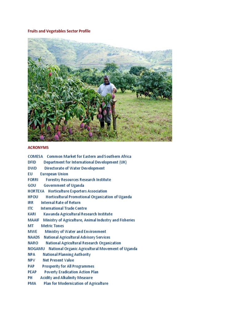 Fruits and Vegetables Sector Profile | PDF | Agriculture | Investing