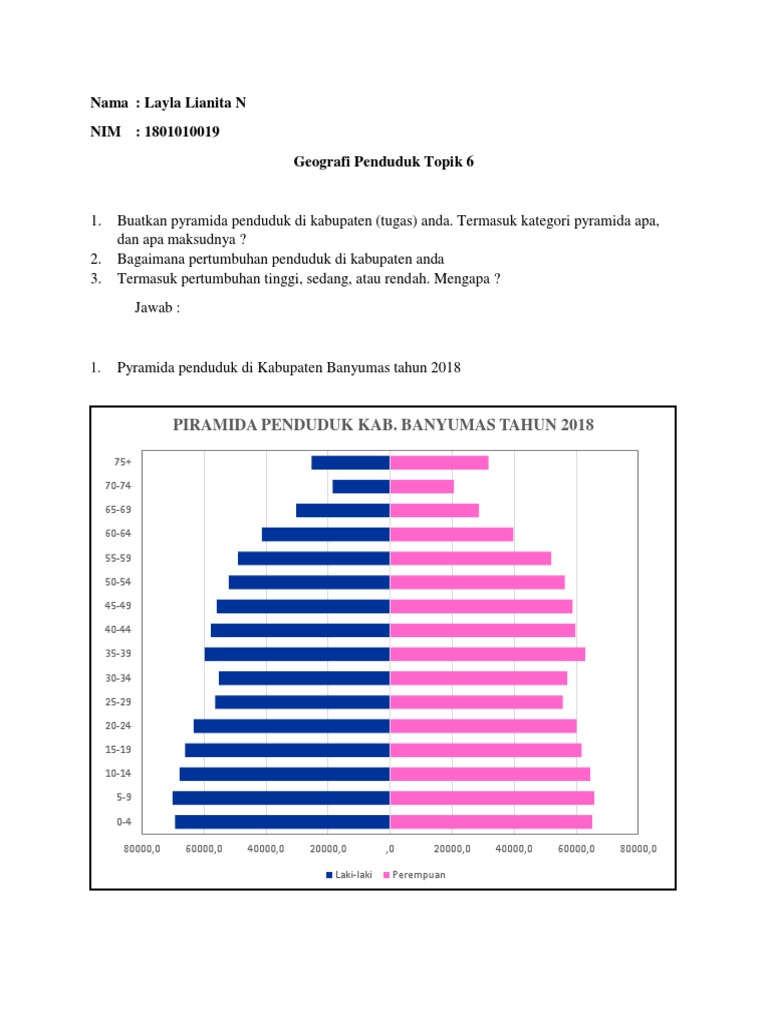 GP6.1801010019.LAYLA Pemetaan | PDF
